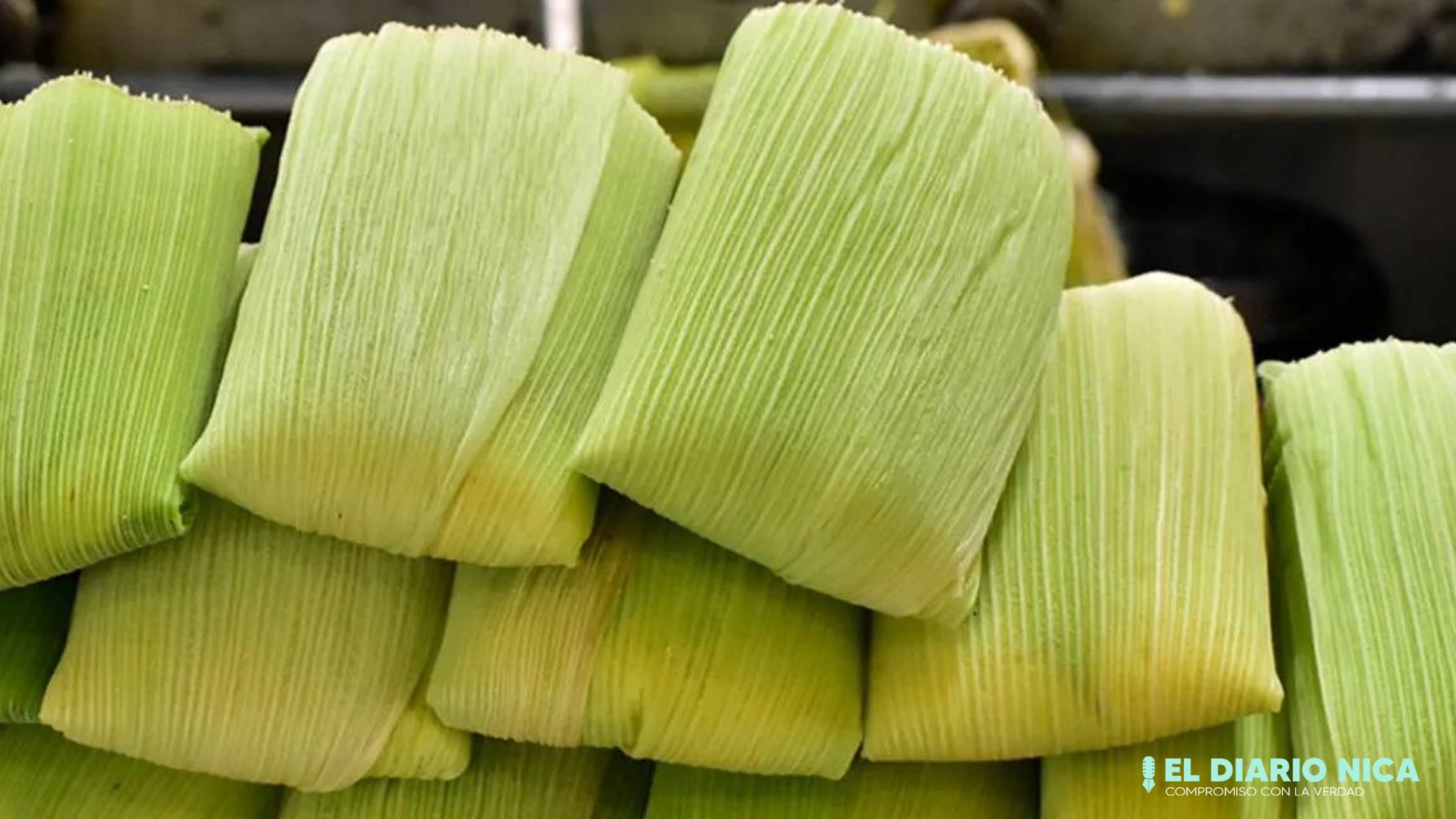 Yoltamal o tamal de elote - El Diario Nica