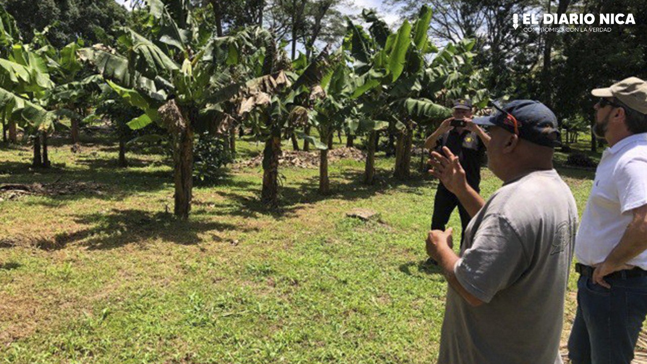INTA fortalece capacidades de los productores - El Diario Nica INTA fortalece capacidades de los productores - El Diario Nica