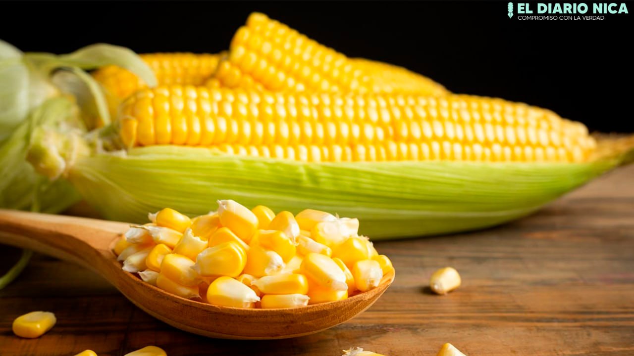 Deliciosa y variada comida Nicaragüense - El Diario Nica