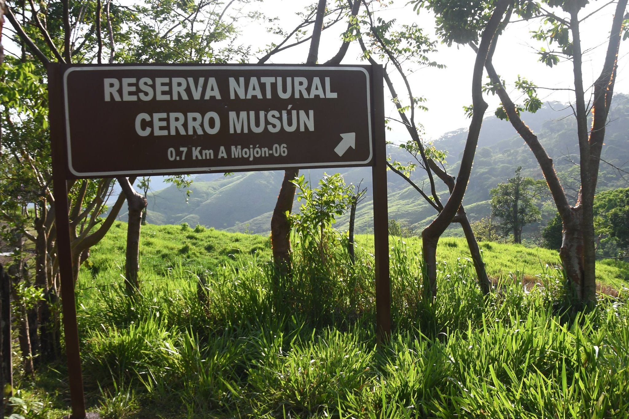 Reserva natural Cerro Musún - El Diario Nica