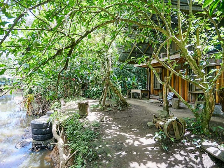 Refugio de Vida Silvestre Los Guatuzos - El Diario Nica